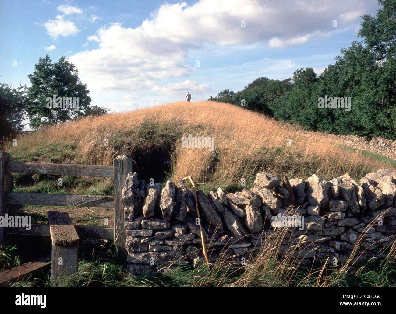 Prehistoric long barrow english cotswolds hi-res stock photography and ...