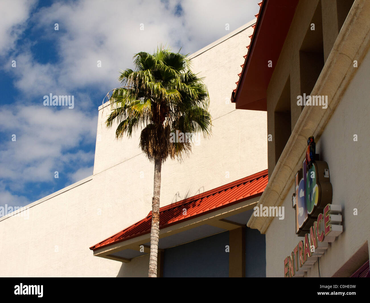 Palm tree and wall Stock Photo - Alamy