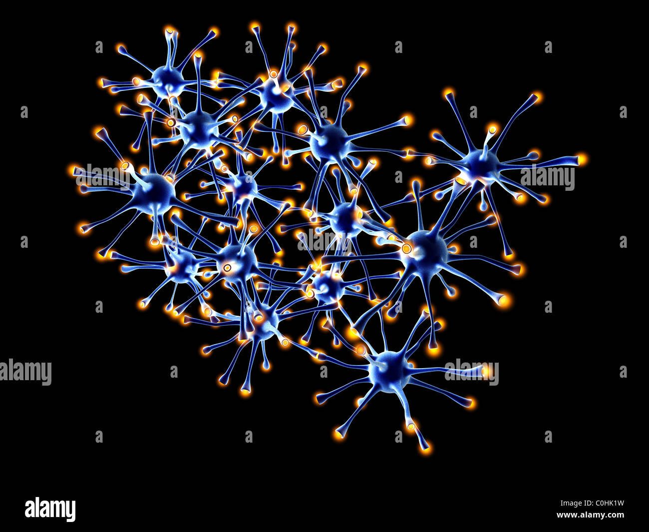 Neuronal system hi-res stock photography and images - Alamy