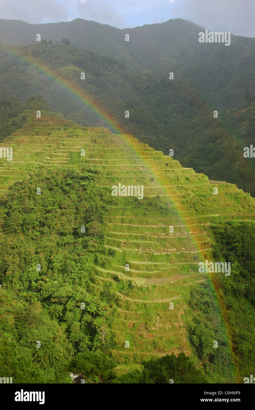 Bright rainbow over green rice terraces after rain shower Stock Photo ...