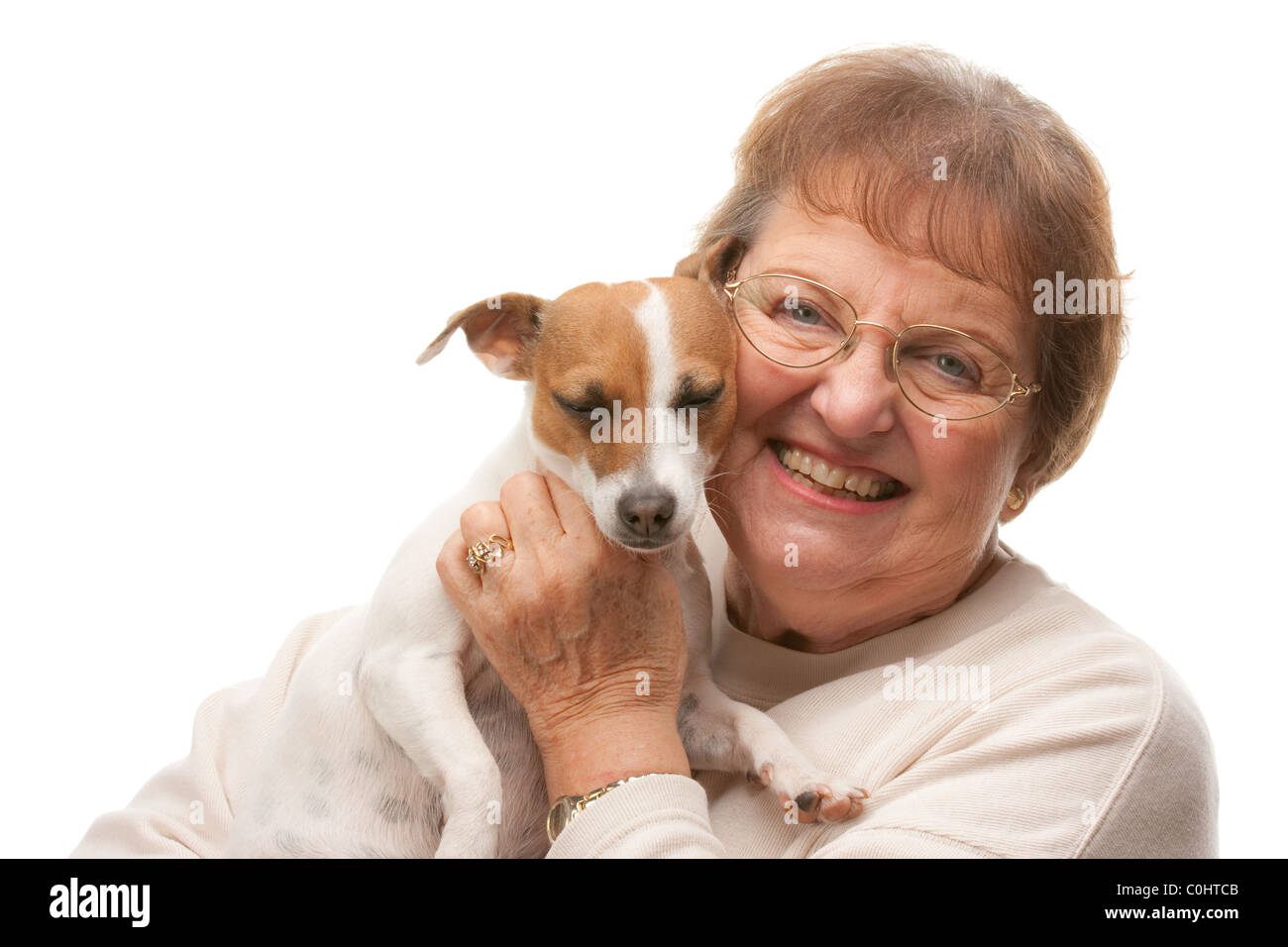 Senior jack russell hi-res stock photography and images - Alamy