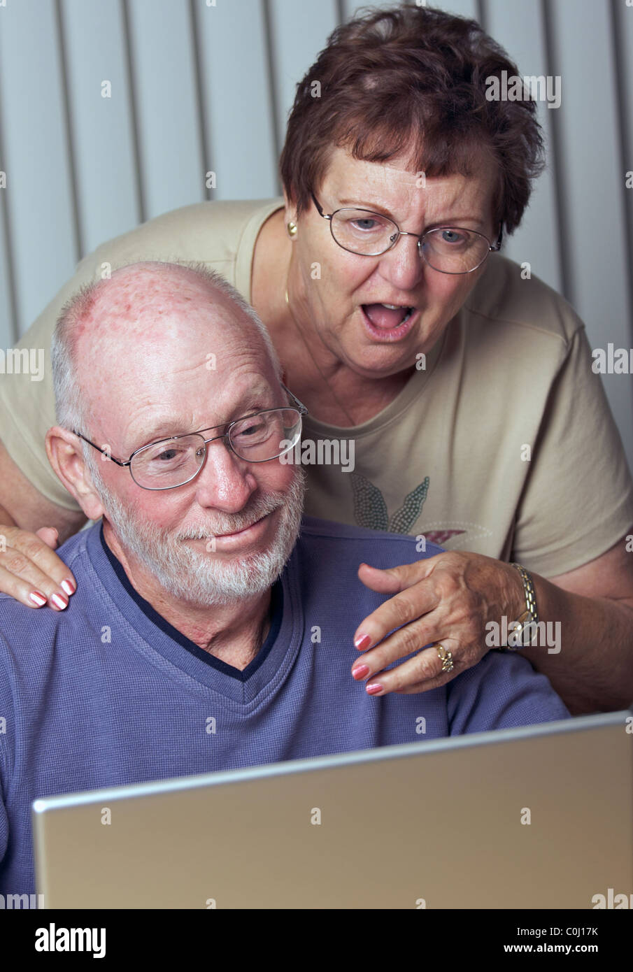 Senior Adults on Working on a Laptop Computer Stock Photo - Alamy