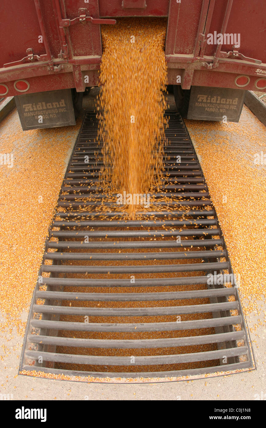 Number 2 corn hi-res stock photography and images - Alamy