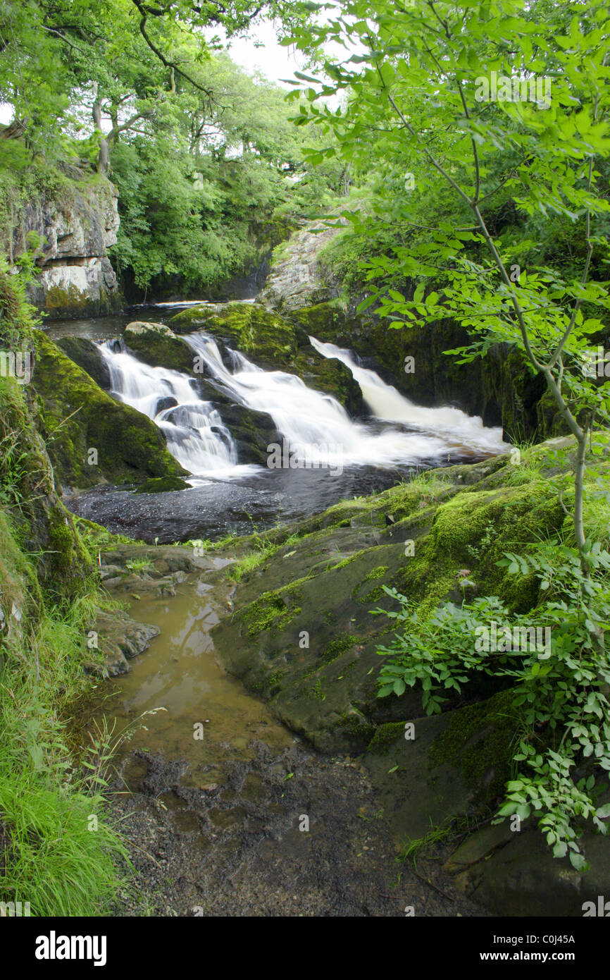 Ingleton waterfalls hi-res stock photography and images - Alamy