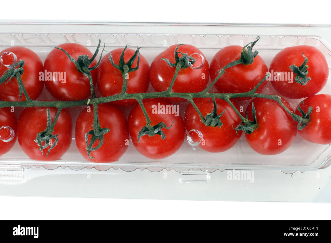 Cherry vine tomatoes isolated on white hi-res stock photography and ...