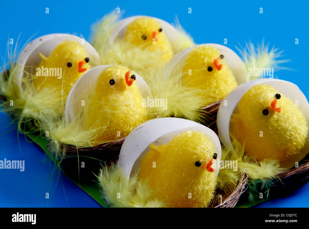 Six cute Easter Chicks in their Egg Shells Stock Photo - Alamy