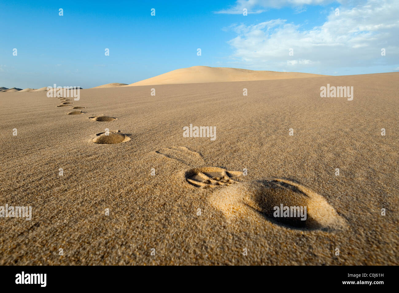 Sand Dunes of the Western Desert of Egypt Stock Photo - Alamy