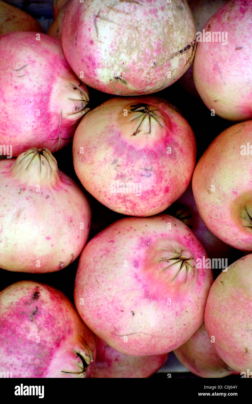 Croatian fruit hi-res stock photography and images - Alamy