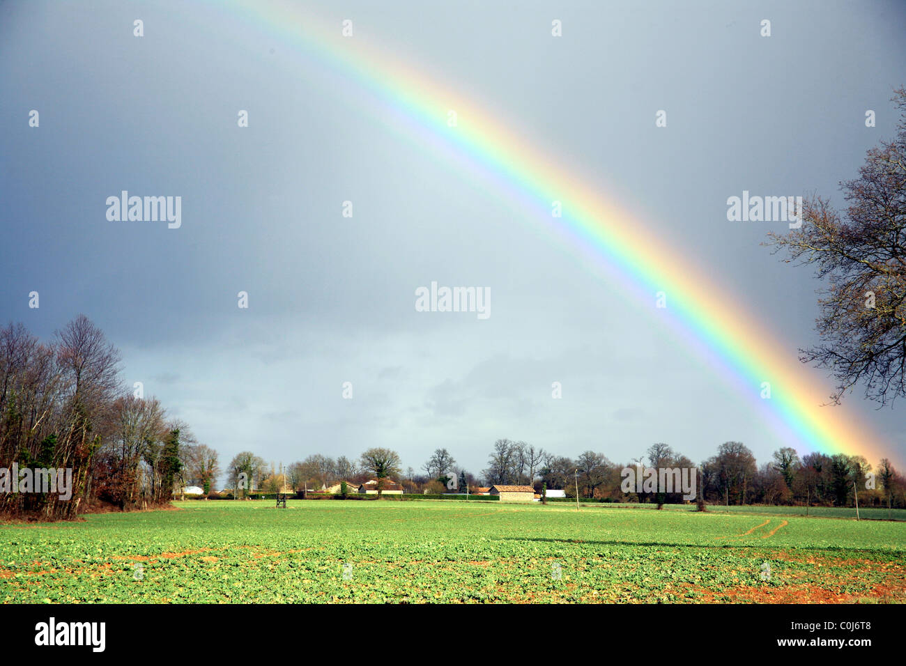 Poitou charante hi-res stock photography and images - Alamy