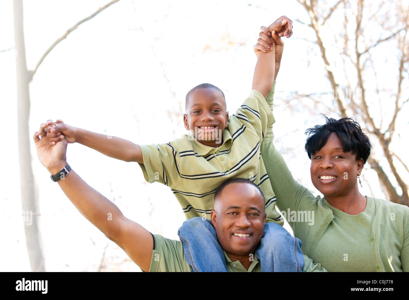 African American Family Having Fun in the Park Stock Photo - Alamy
