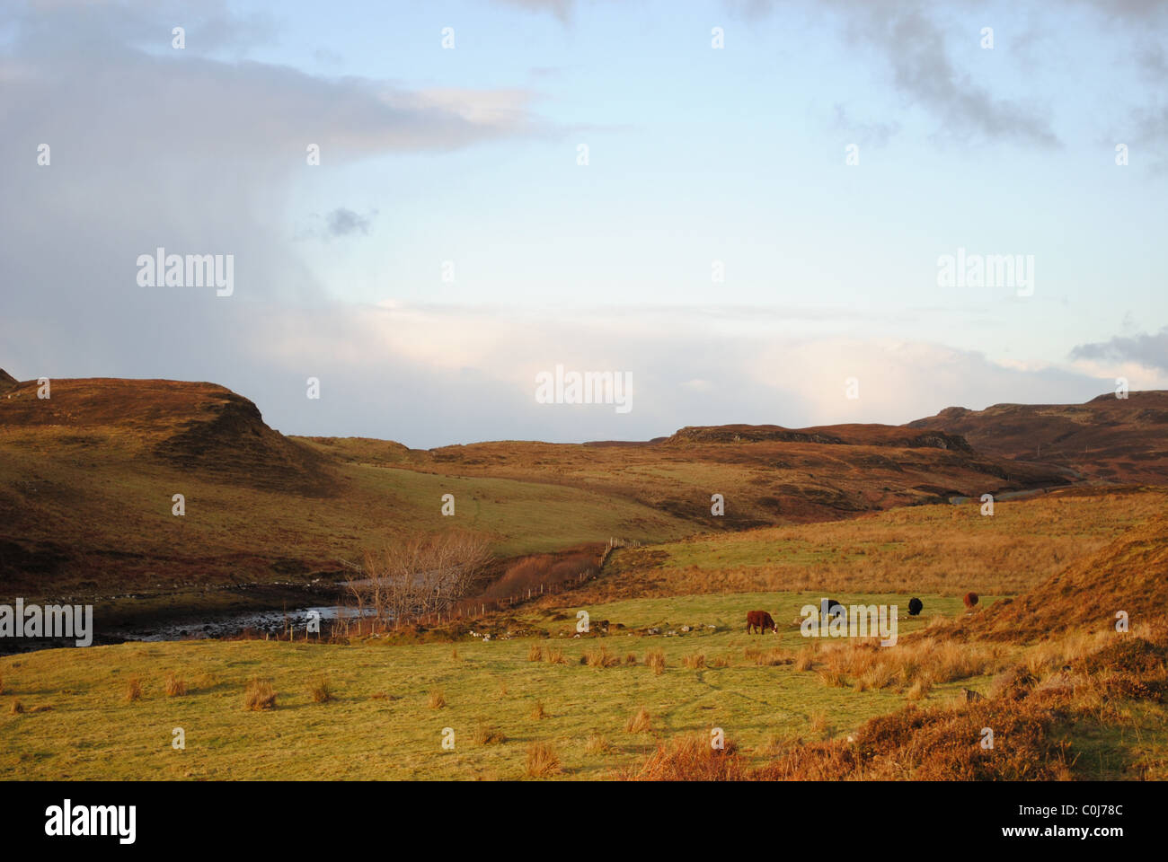 Scottish landscape hi-res stock photography and images - Alamy