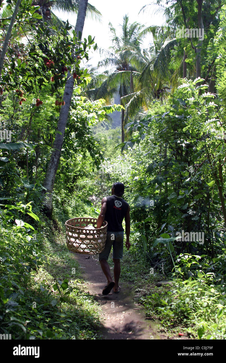 Balinese man walking on path and smoking a clove cigarette Stock Photo ...