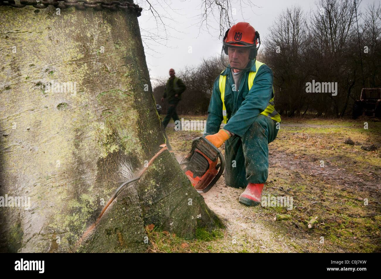 Wood cutters in the North of England working Stock Photo - Alamy