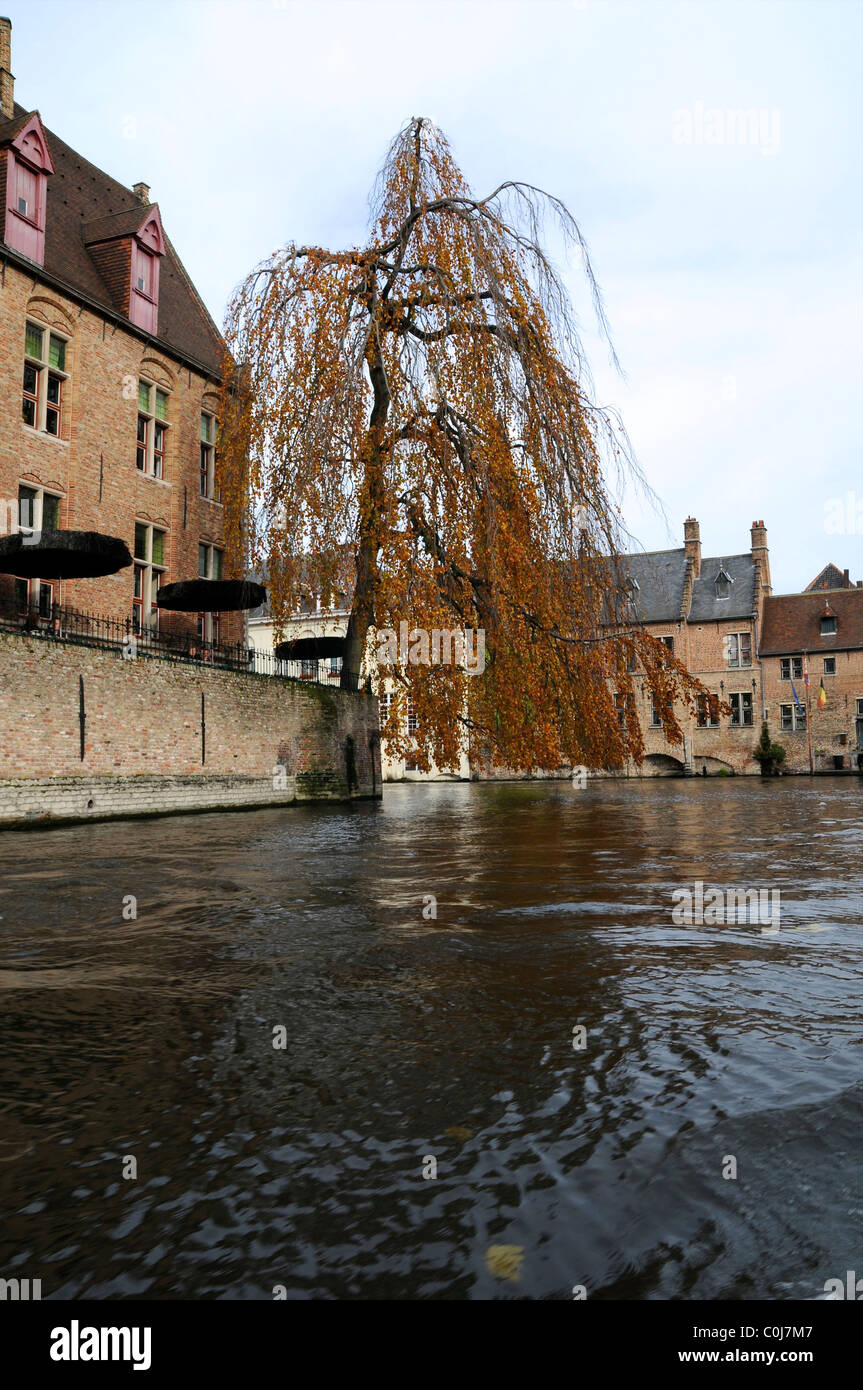River trees buildings Bruges Stock Photo - Alamy
