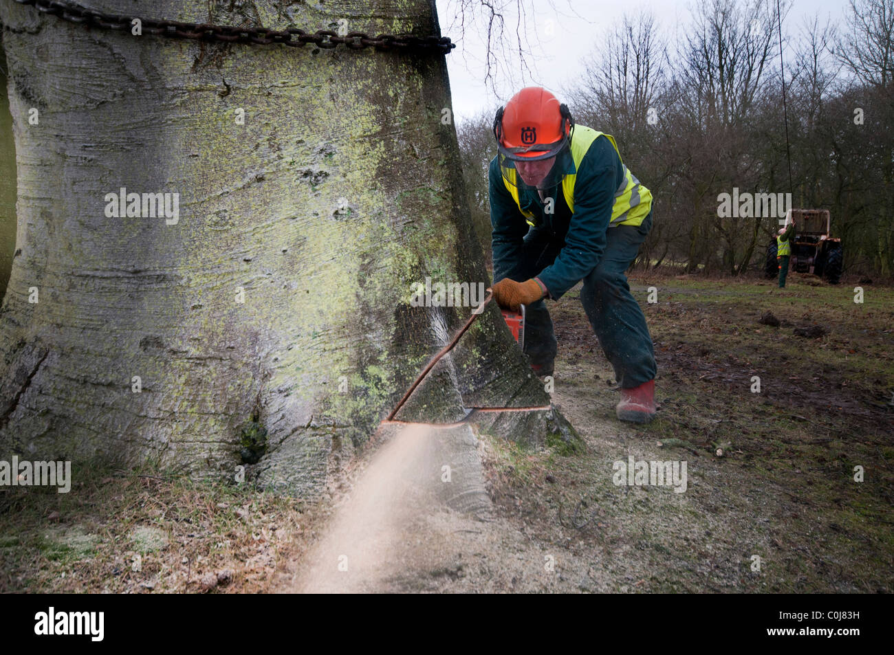 Wood cutters hi-res stock photography and images - Alamy