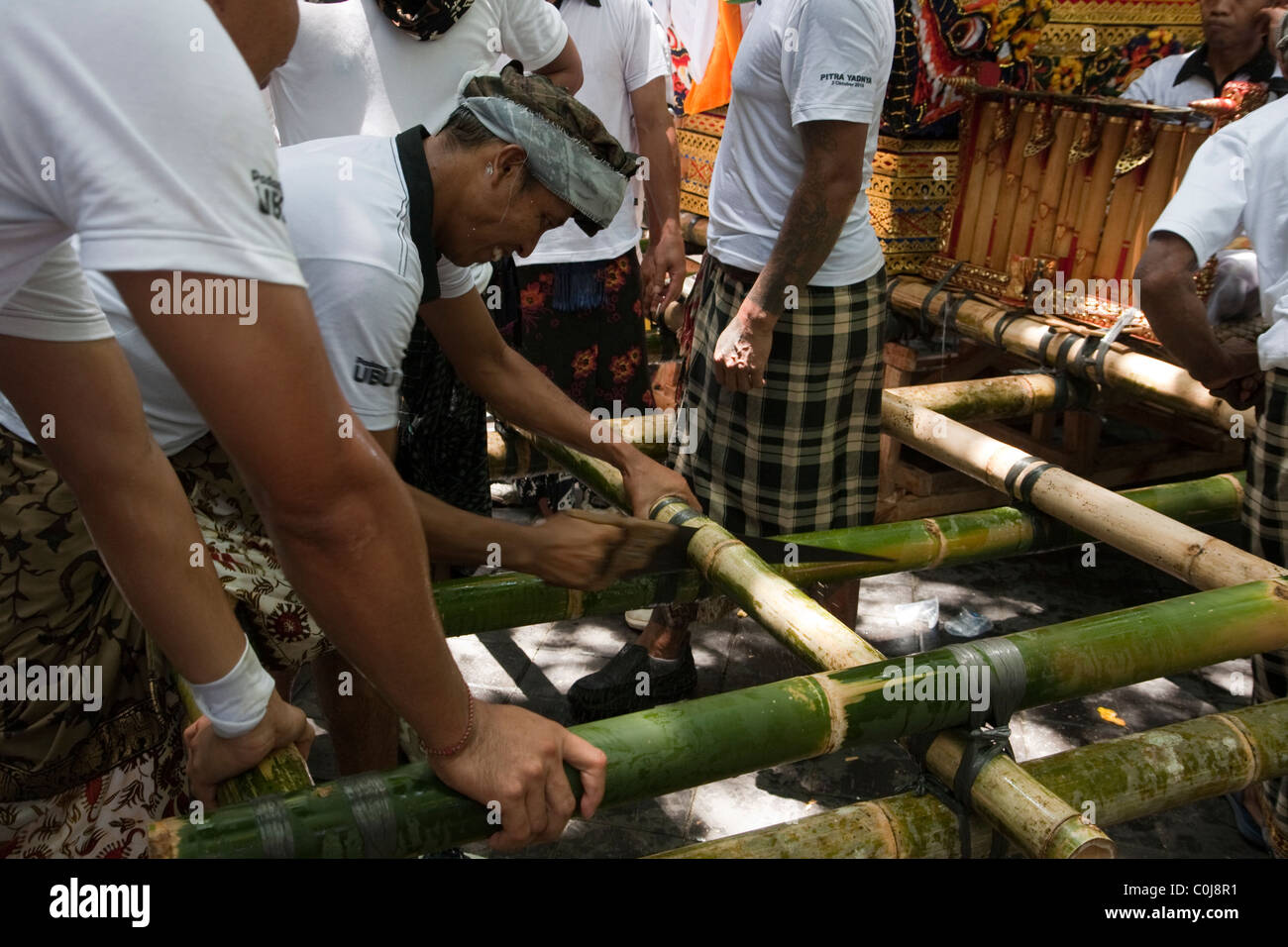 Balinese Cremation Bull And Tower High Resolution Stock Photography and ...
