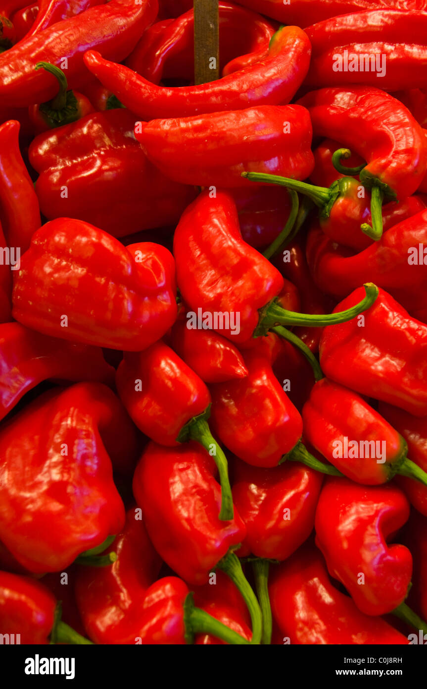Red peppers at La Boqueria market hall central Barcelona Catalunya ...