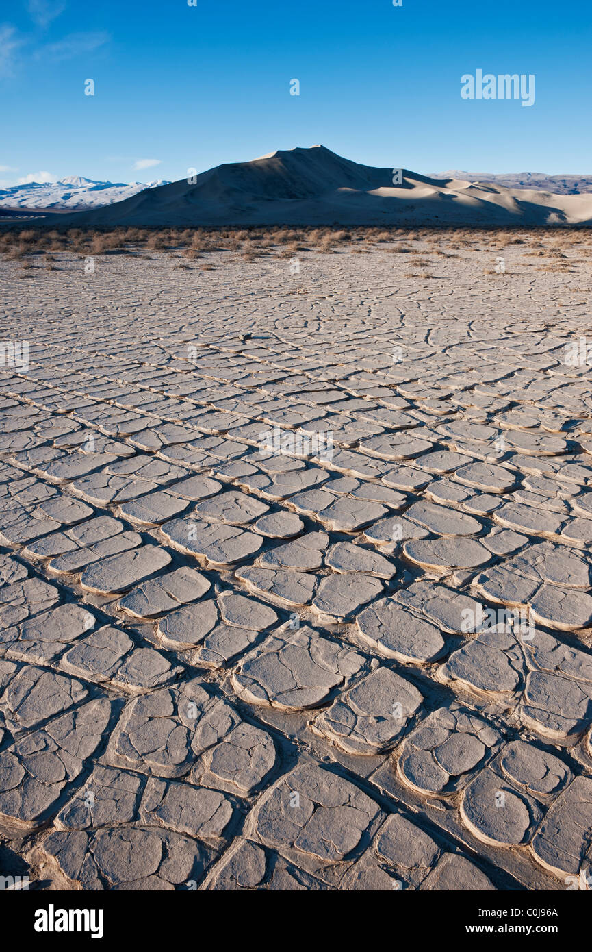 Dried mud flats hi-res stock photography and images - Alamy