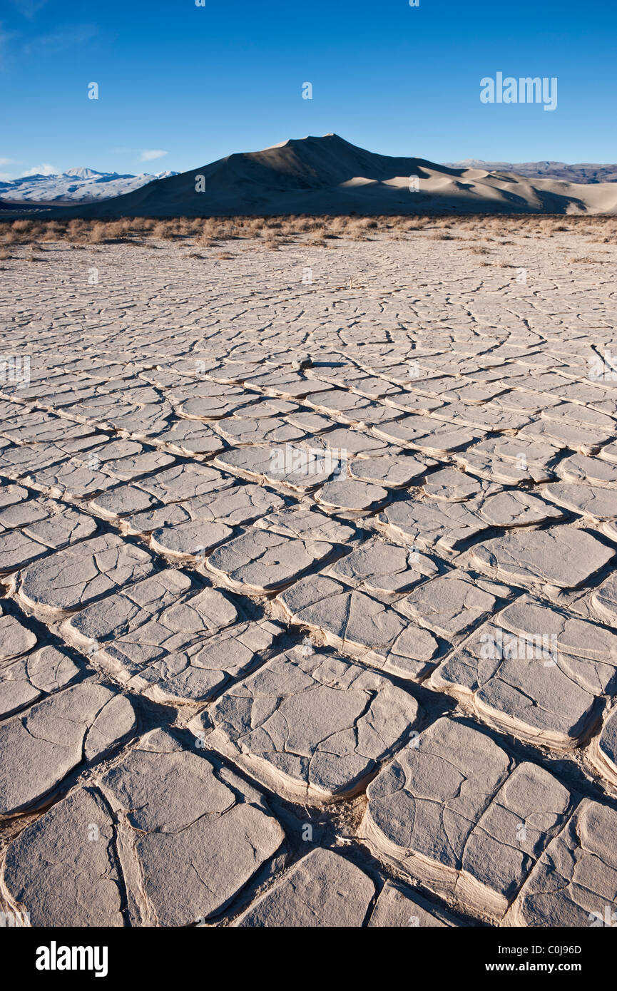 Dried mud flats with Eureka dunes in distance, Death Valley national ...