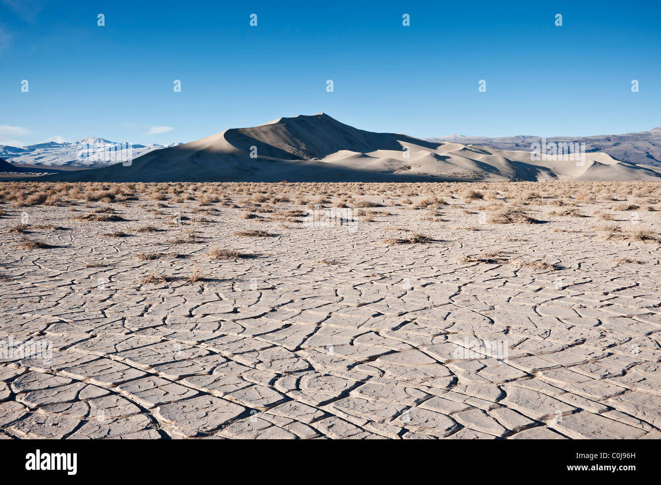Dried mud flats with Eureka dunes in distance, Death Valley national ...