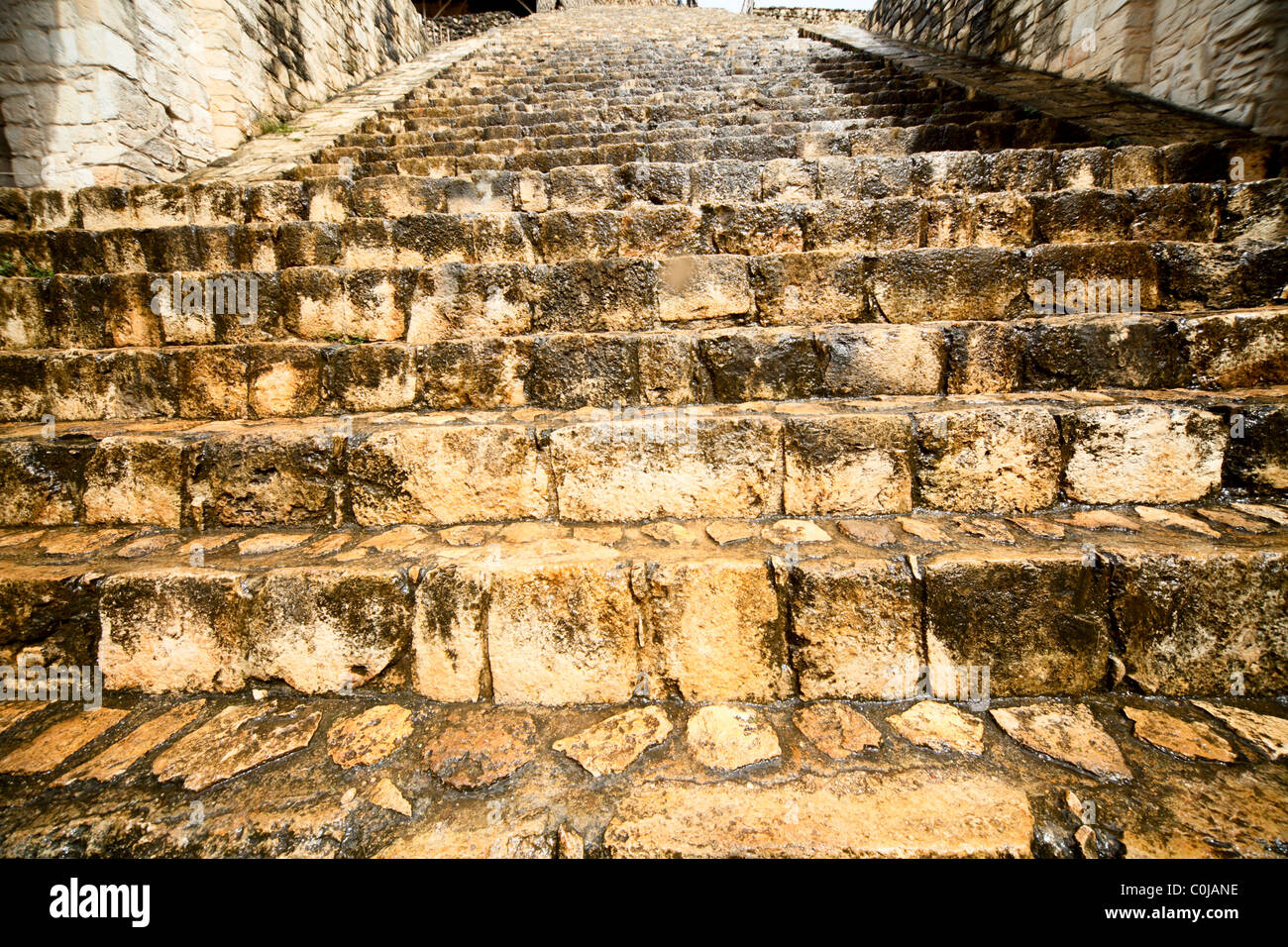 STEEP STONE STAIRS OF THE ACROPOLIS, MAYAN RUINS AT EK BALAM, MEXICO ...