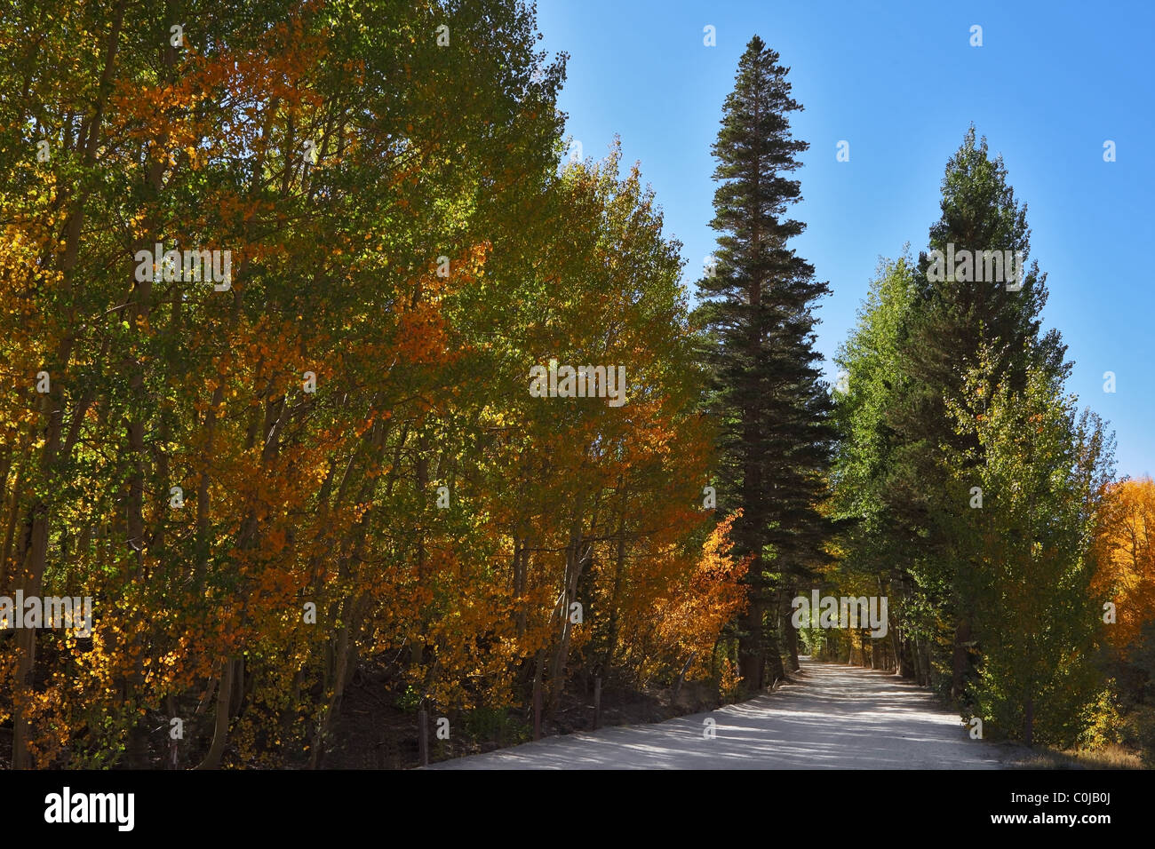 Nice trail in the mountain park Stock Photo - Alamy