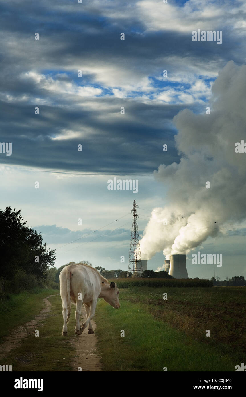 A cow walking on the road in a field in front of a nuclear power ...