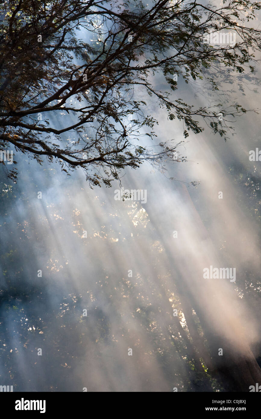 Smoke from a cremation in Ubud, Bali, Indonesia. Cremation ceremonies ...