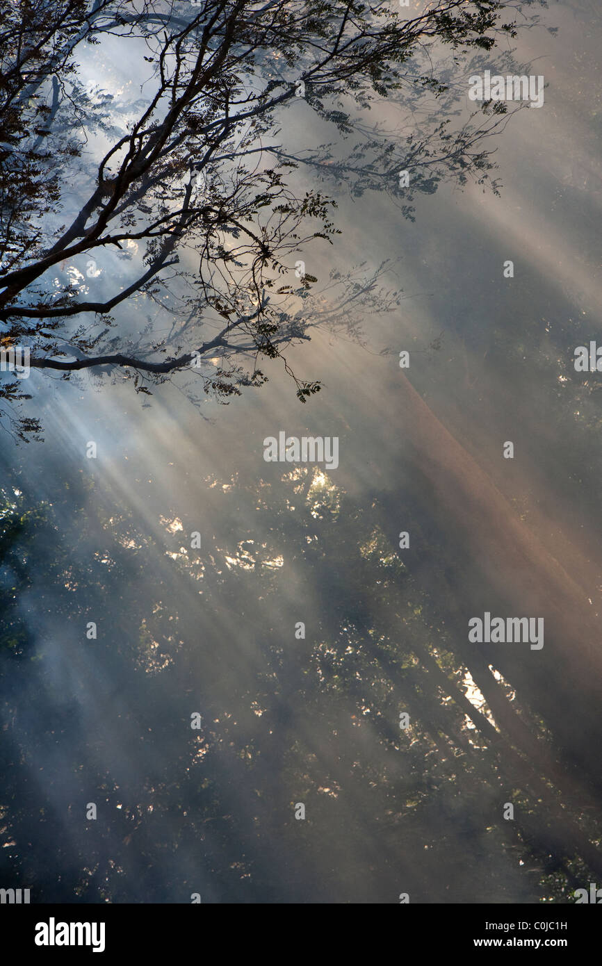 Smoke from a cremation in Ubud, Bali, Indonesia. Cremation ceremonies ...