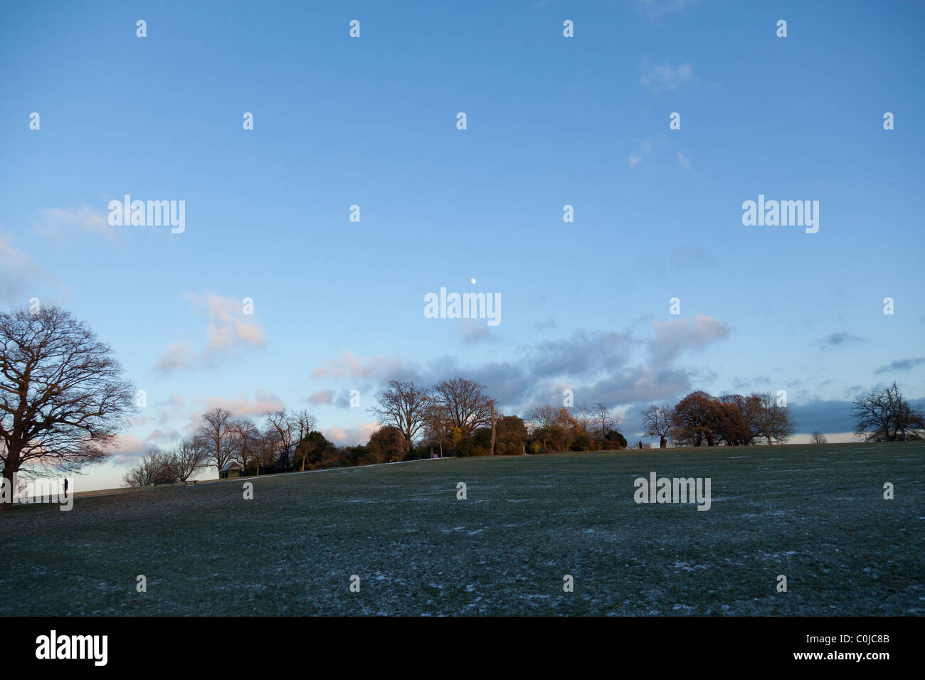 twilight landscape in park Stock Photo - Alamy