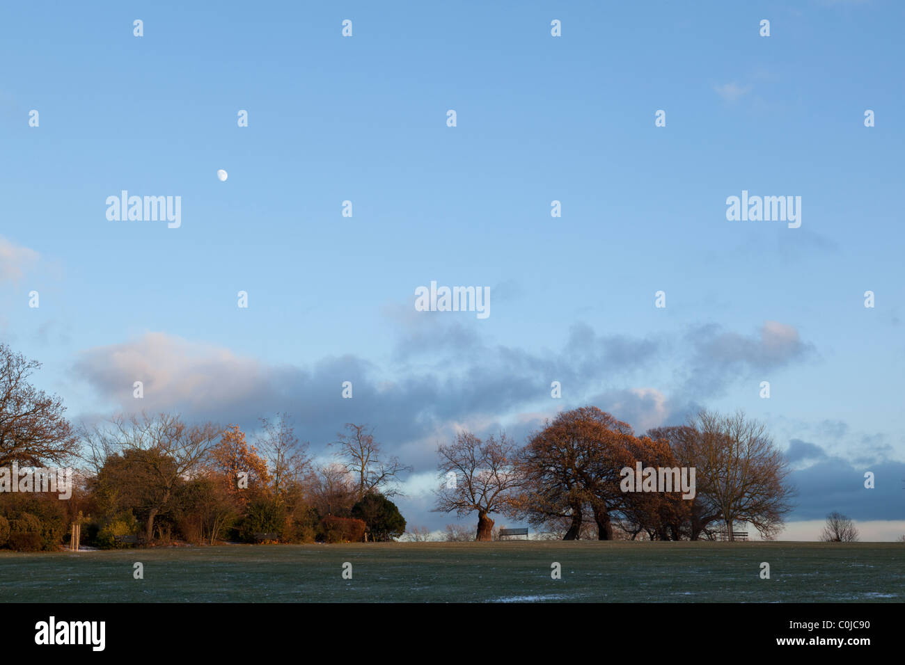 twilight landscape in park Stock Photo - Alamy