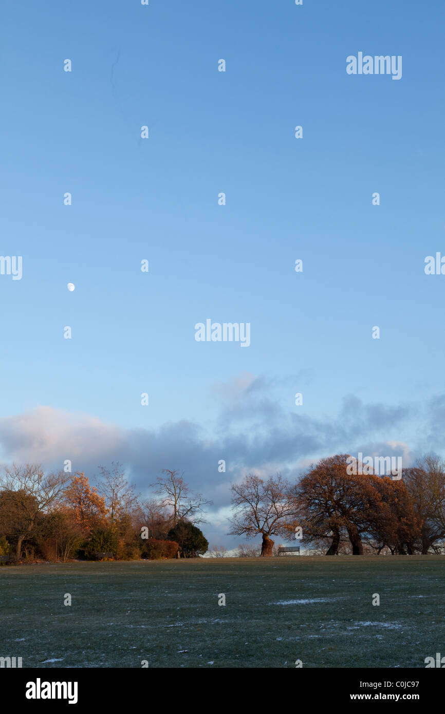 twilight landscape in park Stock Photo - Alamy