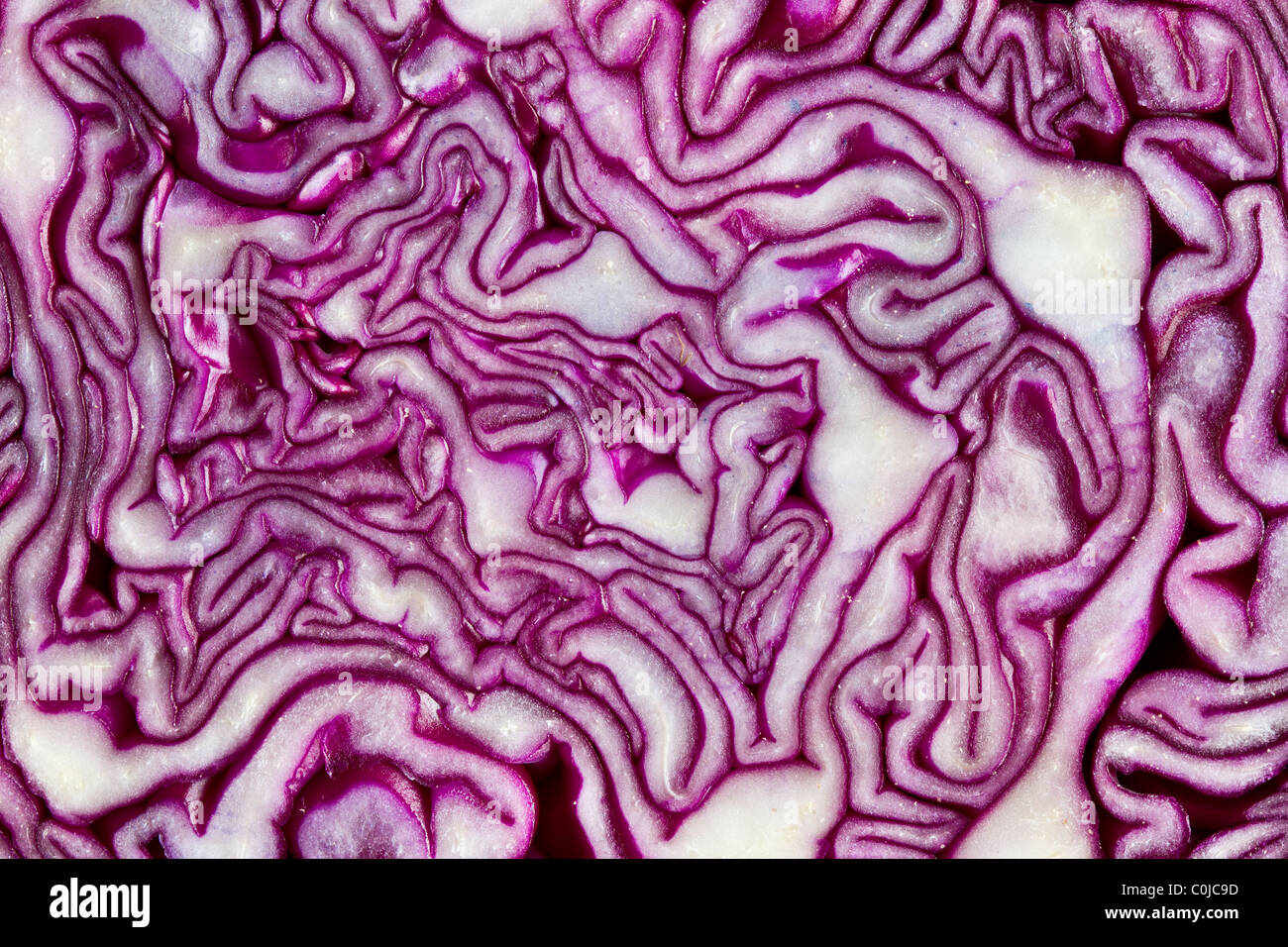 Abstract cabbage hi-res stock photography and images - Alamy
