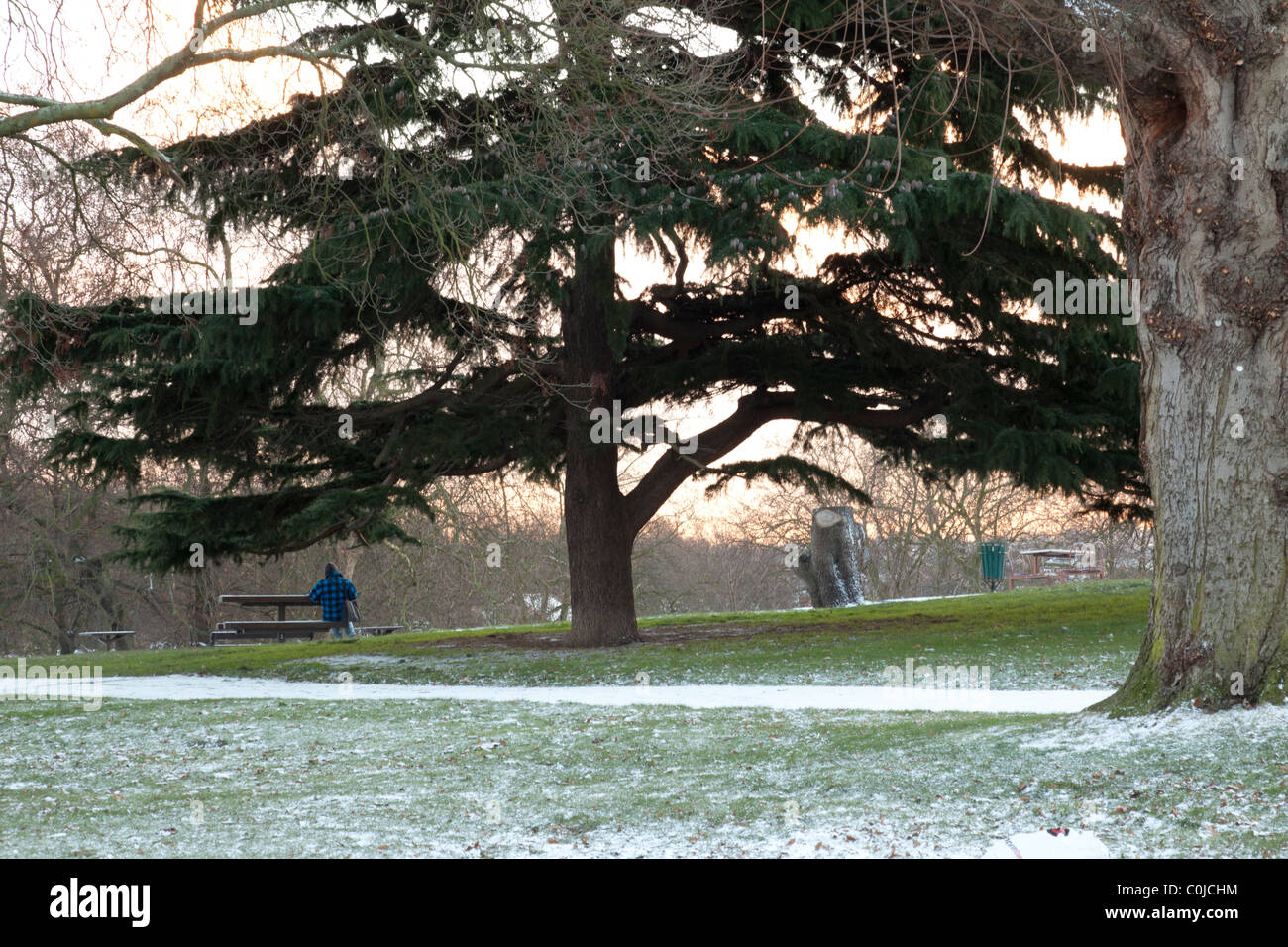 Person sitting at picnic table in park Stock Photo - Alamy