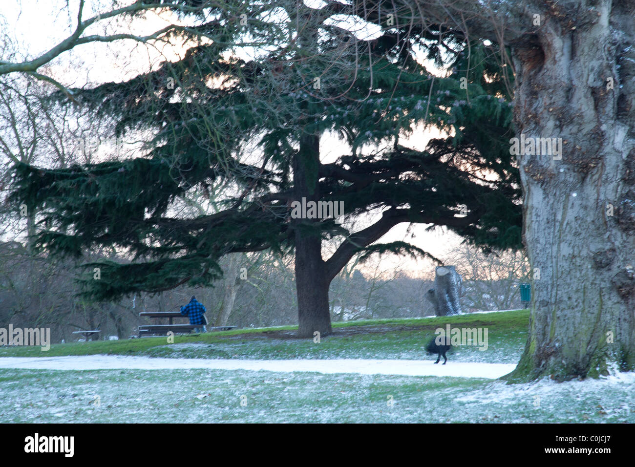 Person sitting at picnic table in park Stock Photo - Alamy