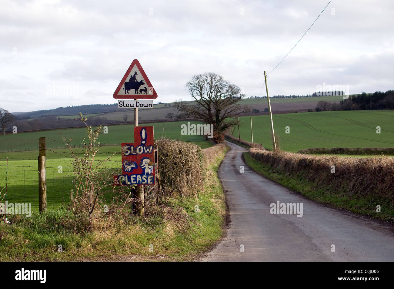 Road safety Homemade Slow Down sign in countryside Devon lane with ...