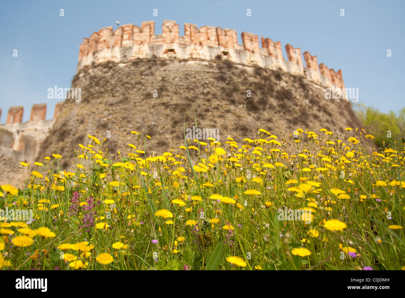 Castle with flowers in italy close up Stock Photo - Alamy