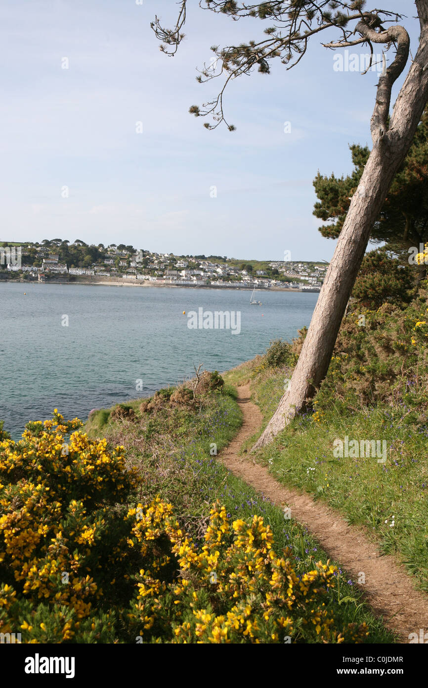 Roseland peninsula Cornwall Stock Photo - Alamy