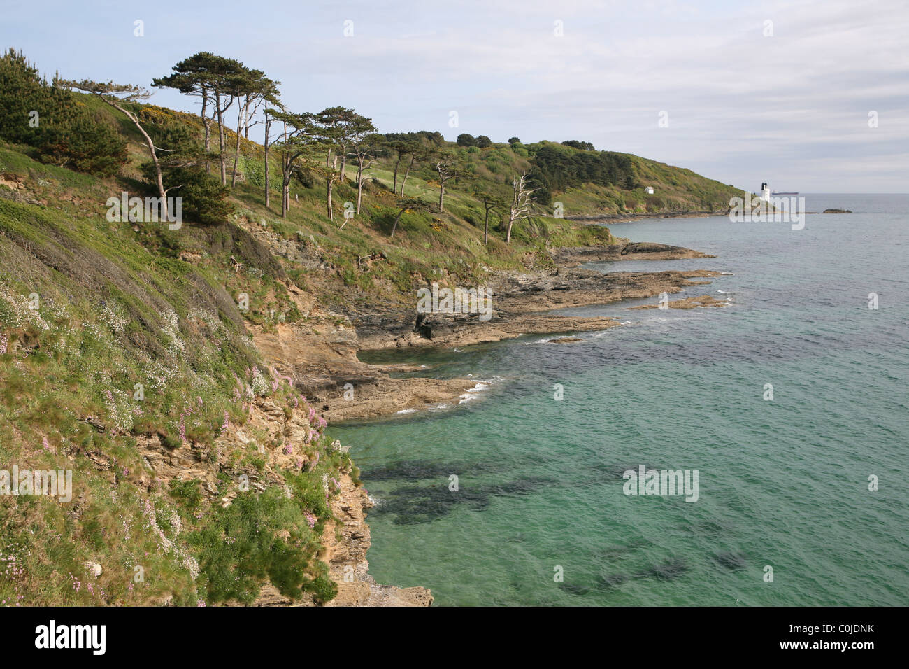 Roseland peninsula Cornwall Stock Photo - Alamy