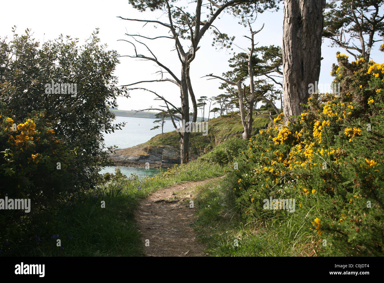 Roseland peninsula Cornwall Stock Photo - Alamy