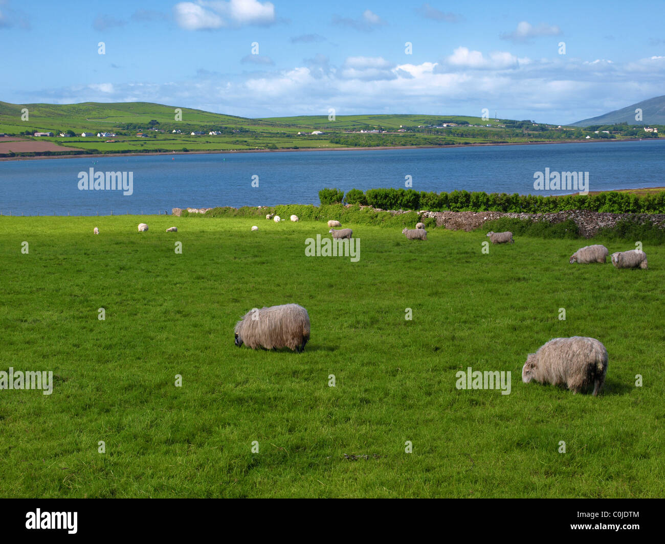 photo beautiful breathtaking vibrant irish scenic coastal seascape ...