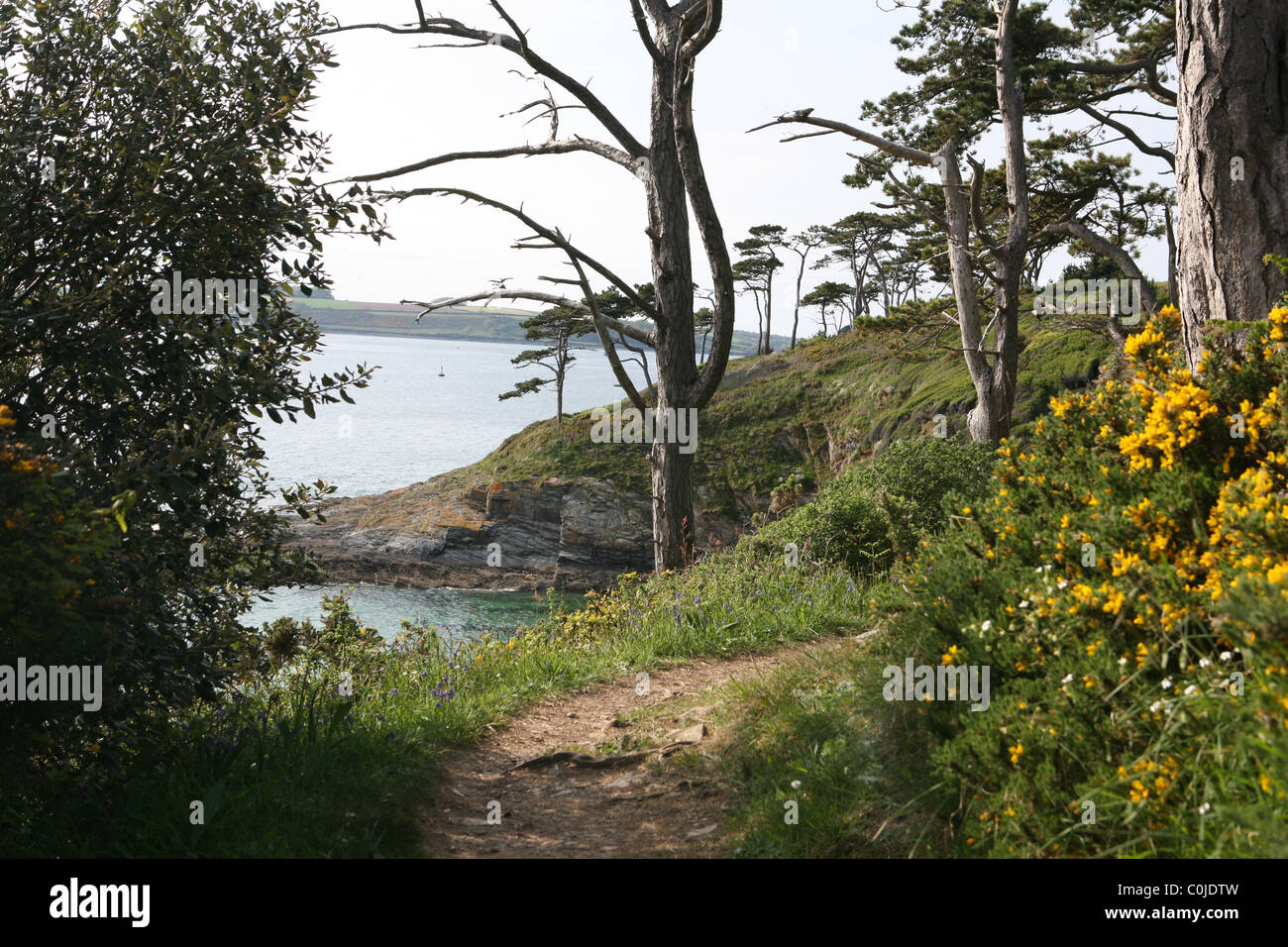 Roseland peninsula Cornwall Stock Photo - Alamy