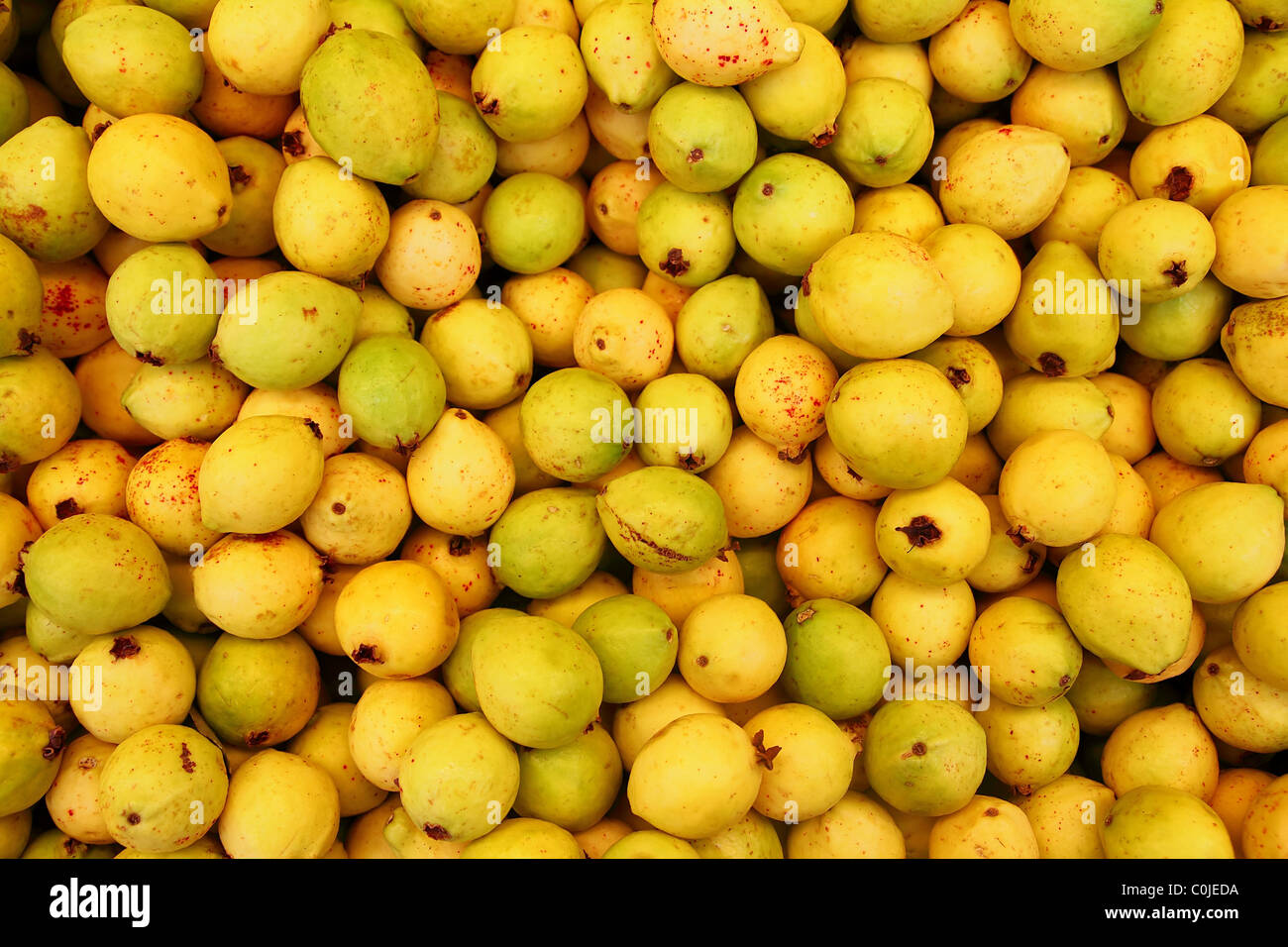 delicious mature yellow guava fruit from mexico Stock Photo - Alamy
