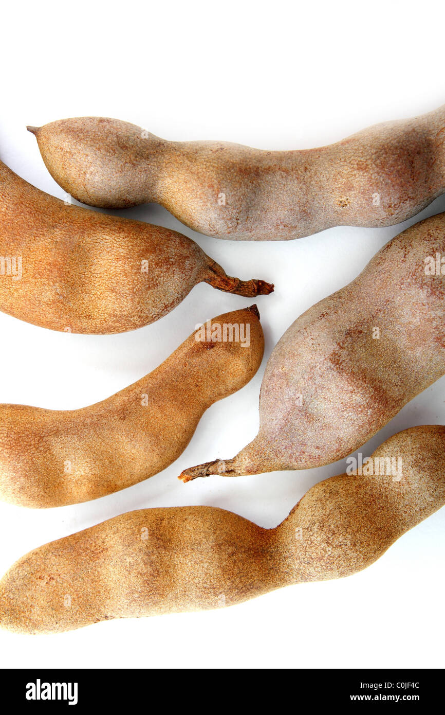 isolated fruit Tamarind Tamarindus indica Legumes Stock Photo - Alamy