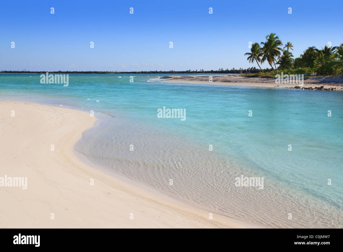 Turquoise river wildlife hi-res stock photography and images - Alamy