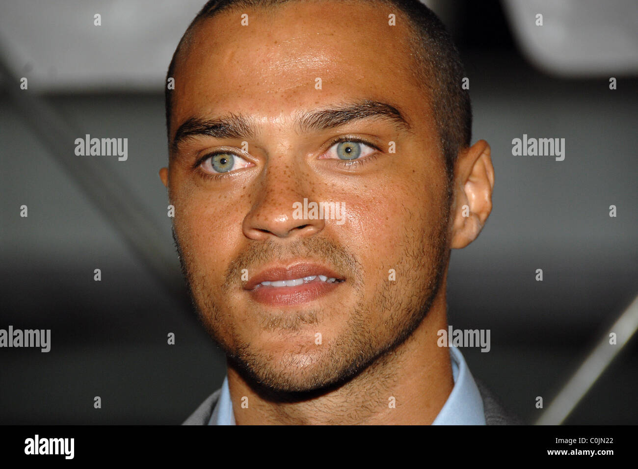 Jesse Williams at the Eco-Friendly World Premiere of "The Sisterhood of ...