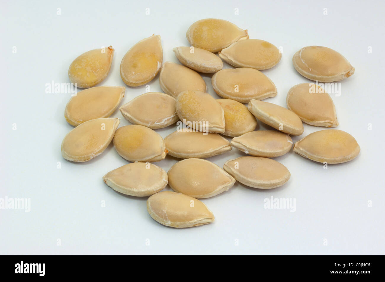Pumpkin (Cucurbita sp.), seeds, studio picture Stock Photo - Alamy