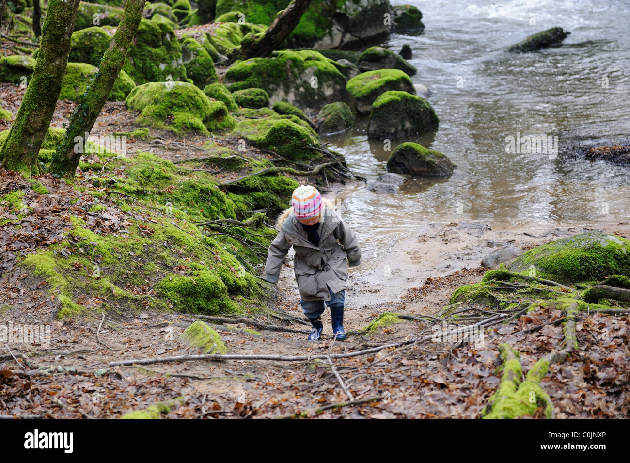 Stock photo of a five year old girl walking in the woods Stock Photo ...