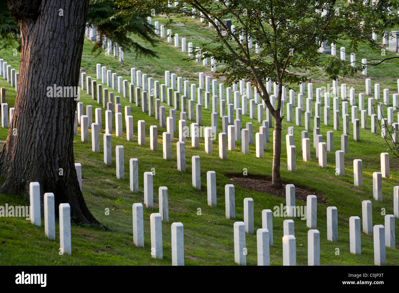 Arlington National Cemetery, Washington, D.C Stock Photo - Alamy
