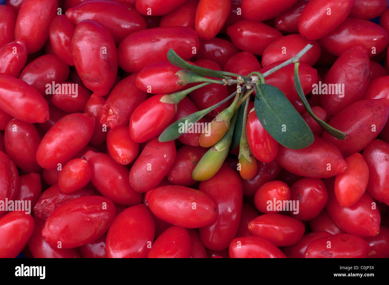 Goji berries tea hi-res stock photography and images - Alamy